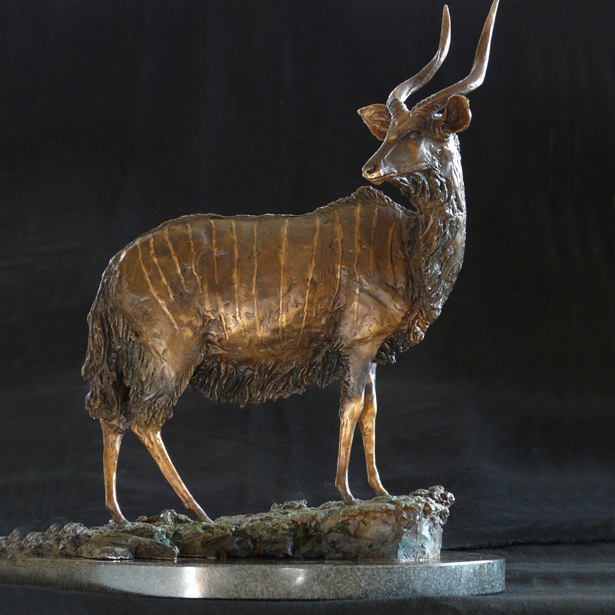 Nyala Bull Maquette | Sarah Richards Bronze Sculptures